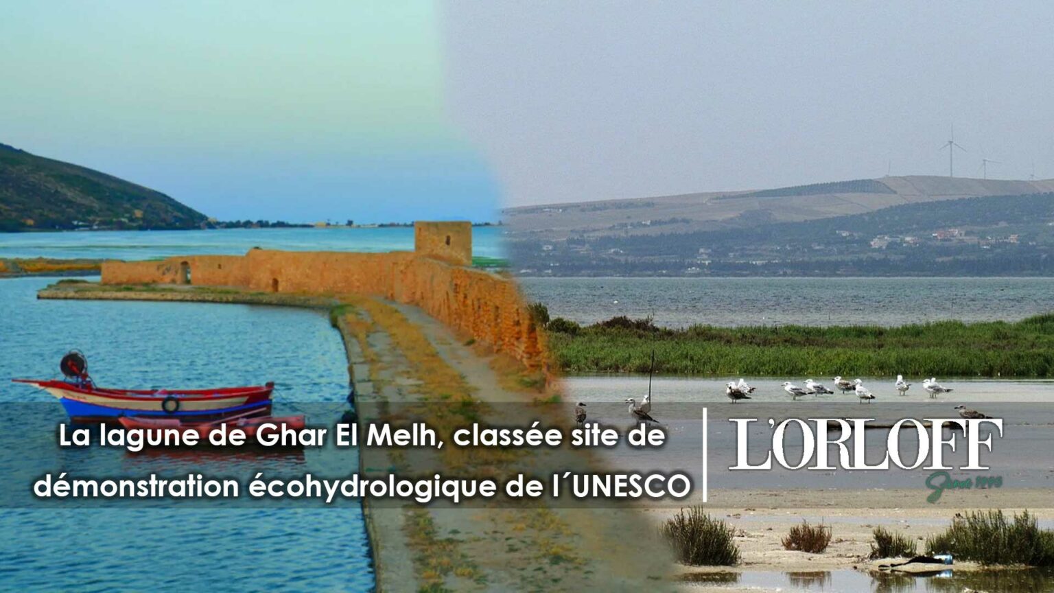 La lagune de Ghar El Melh, classée site de démonstration ...