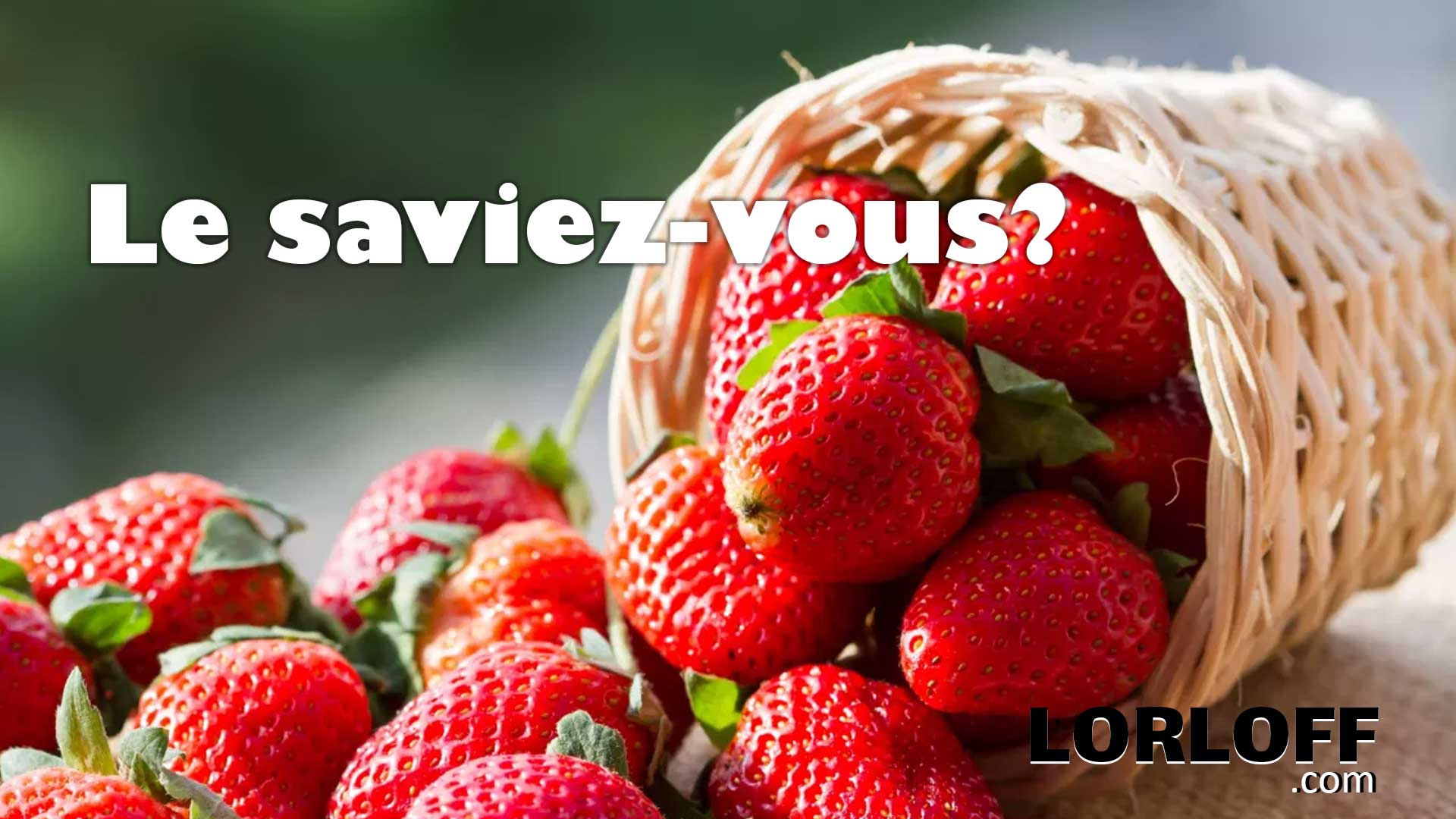 La saison de la fraise arrive ! Voici 8 choses à savoir sur ce ''faux ...
