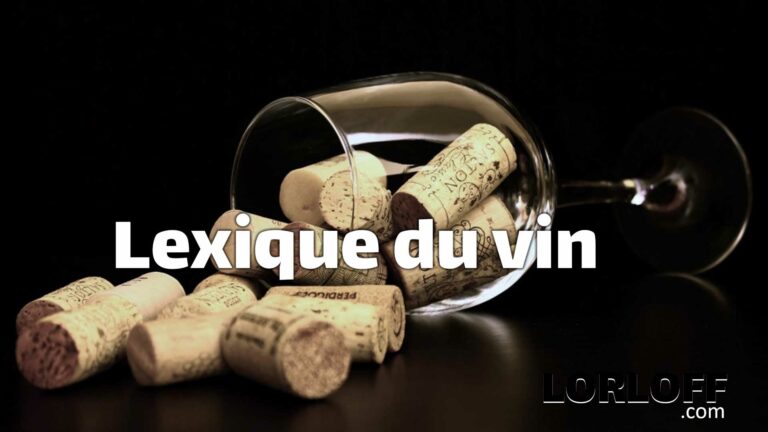 Le lexique du vin : Voici tous les termes utilisés - L'ORLOFF