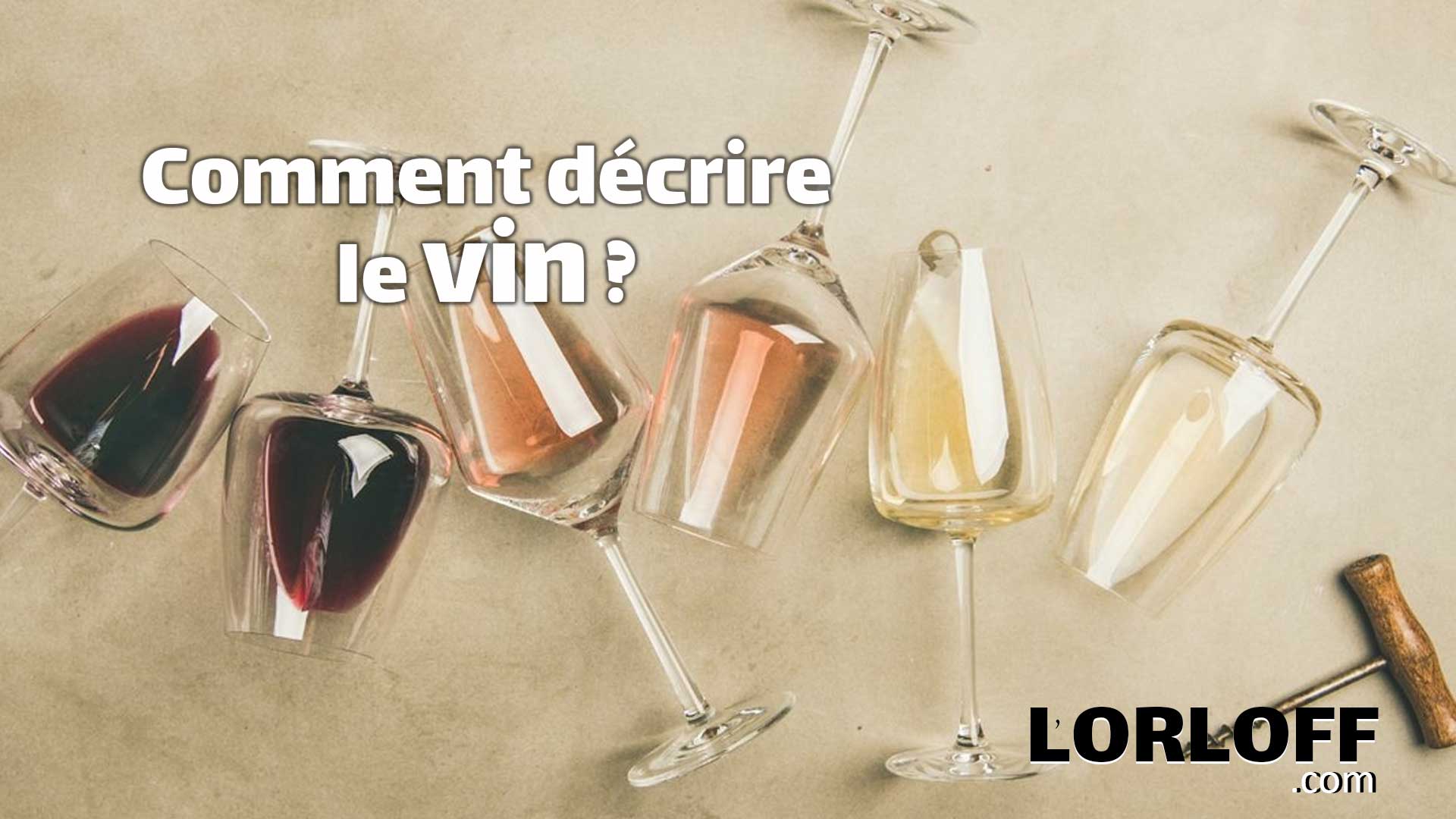 Comment décrire le vin ? Voici notre guide - L'ORLOFF