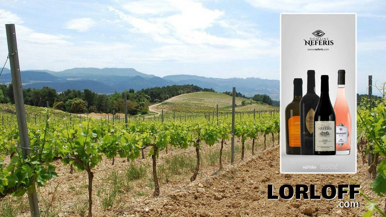 Domaine NEFERIS, TERRE de VIN DEPUIS PLUS DE 2000 ANS - L'ORLOFF