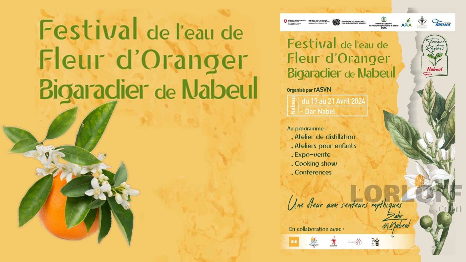 À la découverte de la senteur mythique de la fleur d’oranger de Nabeul ...