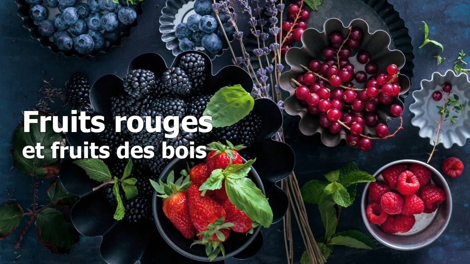 Les fruits rouges et les fruits des bois : Des bienfaits pour nos ...