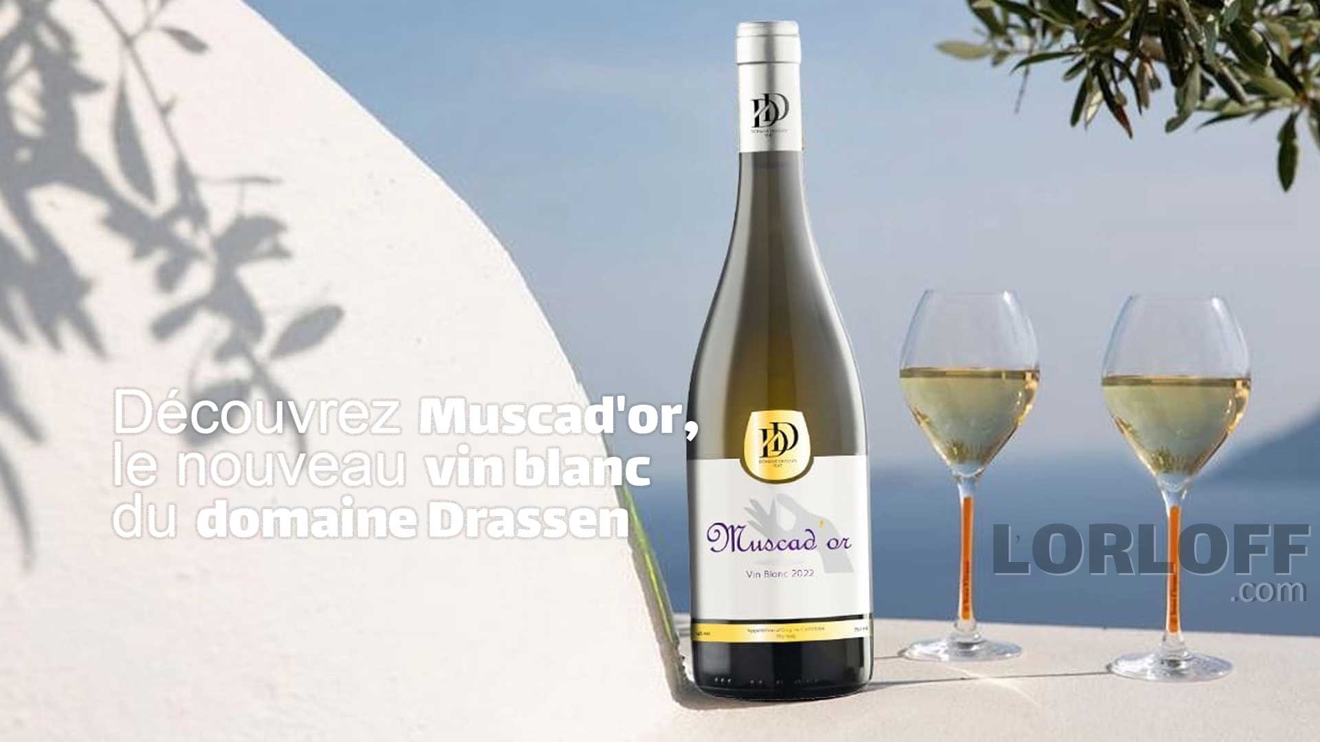 Découvrez Muscad'or, le nouveau vin blanc du domaine Drassen - L'ORLOFF